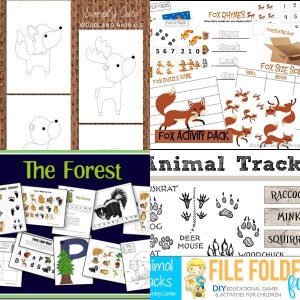 Free Woodland and Forest Animals Resources