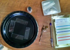 How to Make Homemade Microscope Slides