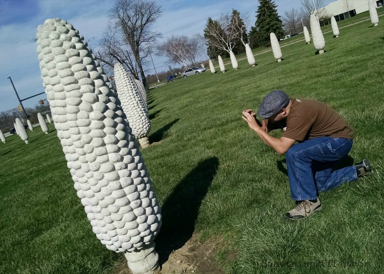 Road Trip Attraction: Concrete Field of Corn Dublin, Ohio # ...